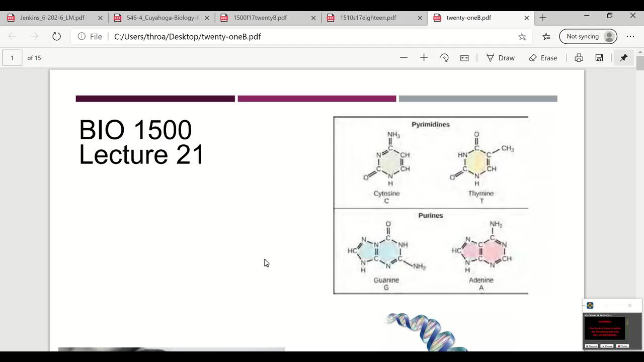 bio1500lecture21