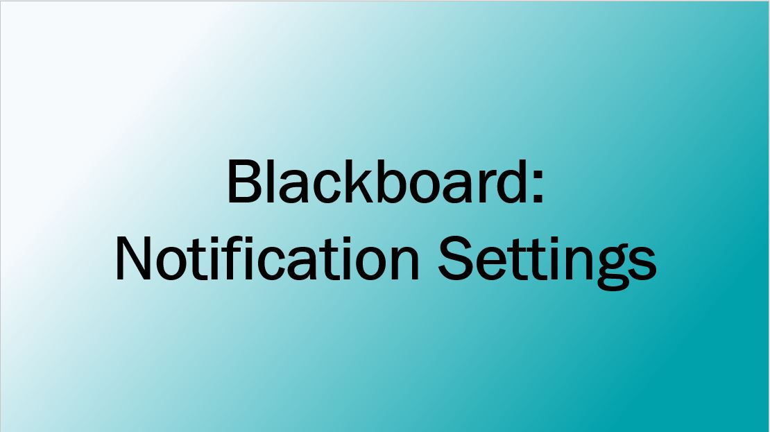 Notification Settings in Blackboard Ultra Base Navigation